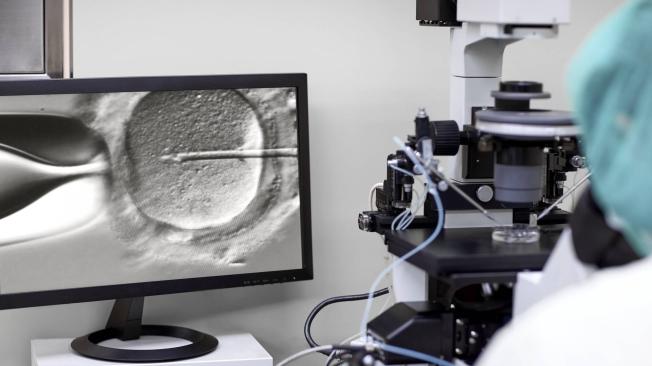 Los experimentos para crear soldados hombre-mono soviéticos