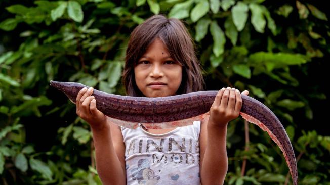 Guainía, la tierra de muchas aguas se presenta ante el país y el mundo