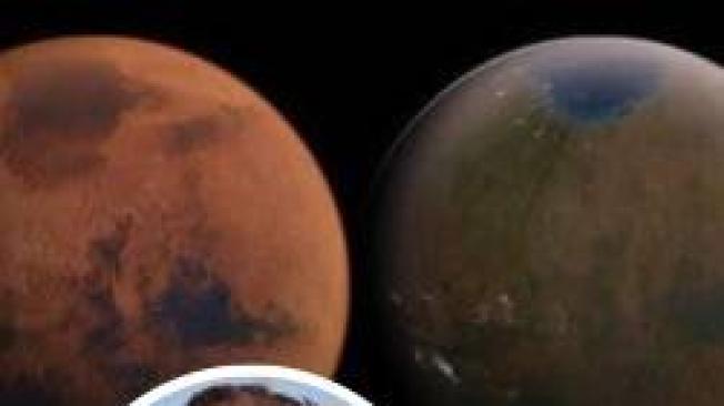 Elon Musk anuncia que quitarán 'chulito azul' a cuentas verificadas gratis