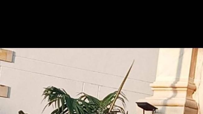 Alcalde de Suaita murió tras someterse en una cirugía