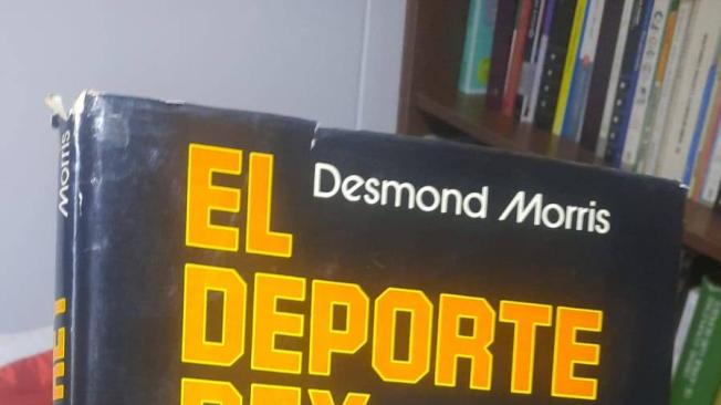 ¿Por qué el fútbol es considerado el deporte rey?