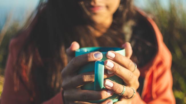 ¿Para qué sirve el té de ruda y cómo lo puedo preparar en mi casa?