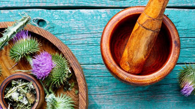 ¿Qué es el cardo mariano, para qué sirve y cuáles son sus beneficios?