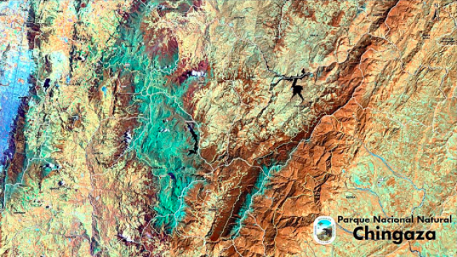 Chingaza: el parque natural más importante de los Andes colombianos