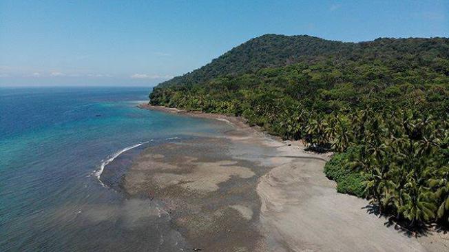 Gobierno anuncia que sí harán obras en Gorgona pero con condiciones