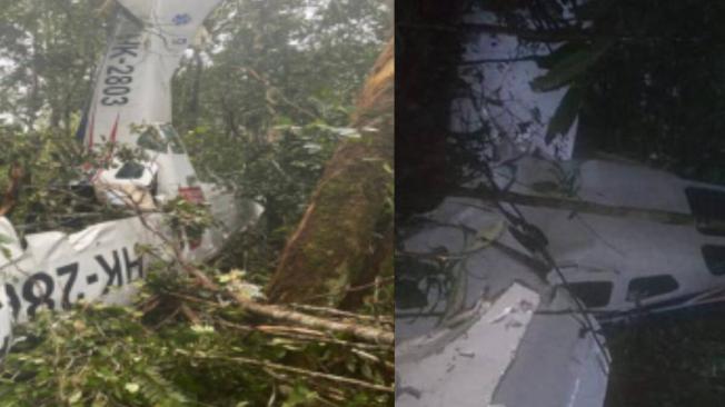 Niños desaparecidos en la selva: ¿cómo va la búsqueda y qué han encontrado?