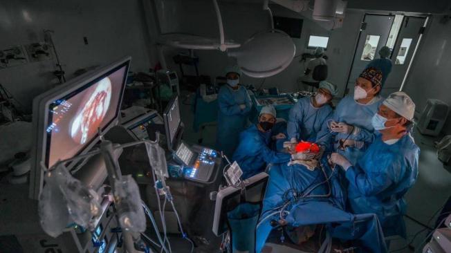 Fetoscopia: la técnica con que salvan bebés de parálisis en Colombia