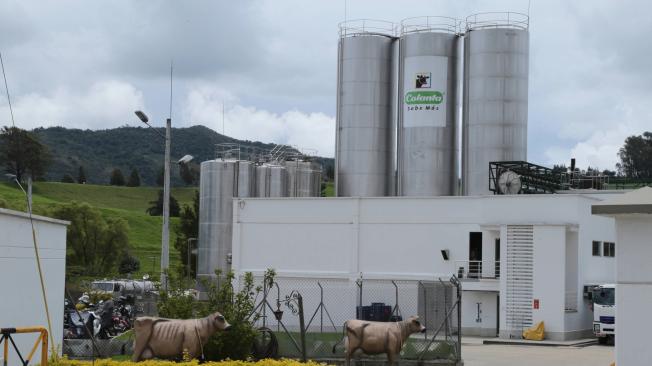 Colanta: la apuesta cooperativa por un campo sostenible