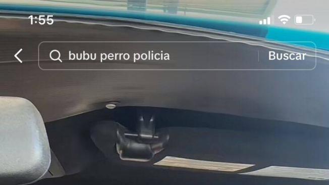 Bubu y Payler: los perros policías que son famosos en TikTok por llegar ...