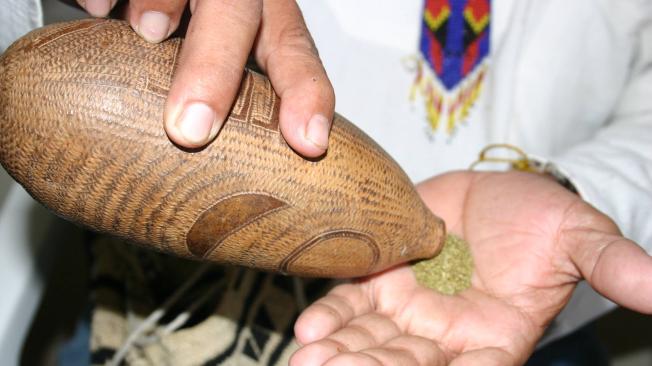 Yagé: el peligroso turismo que amenaza la ancestralidad en Colombia