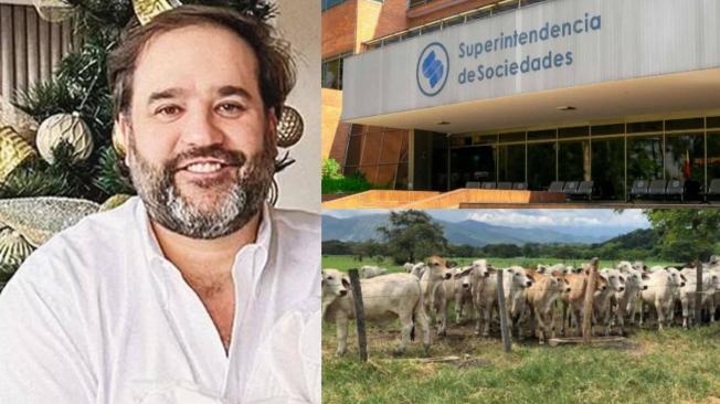 Felipe Rocha: hijo de expresidente, modelo y empresario, dentro de sus ...