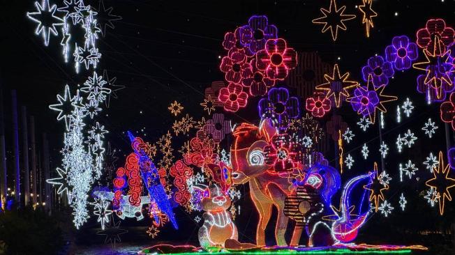 Alumbrados navideños de Disney en Medellín: ya los encendieron y así se ...