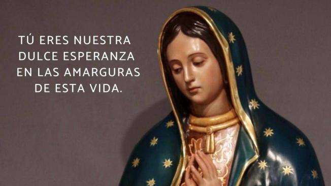 Día de la Virgen de Guadalupe: las 5 frases y fotos que puede usar para conmemorarla