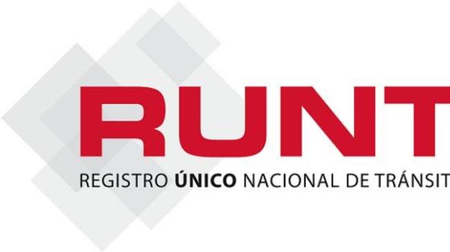 RUNT: el documento clave que necesita para inscribirse y que no le ...