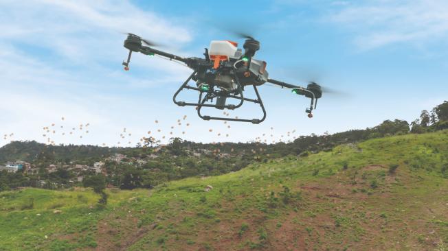 CO2 Revolution: Entrevista con el CEo de la compañía de reforestación