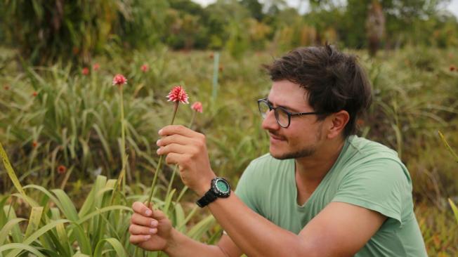 Flor de Inírida: todo lo que debe saber sobre la flor 'eterna' que será ...