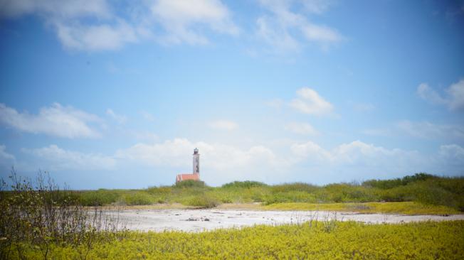 Conozca Curazao: estos son algunos planes para descubrir en la isla de ...
