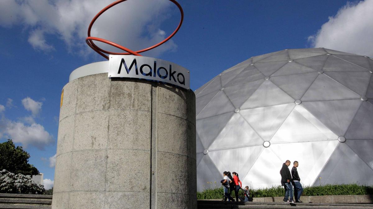 Conozca más de la noche de museo en Maloka