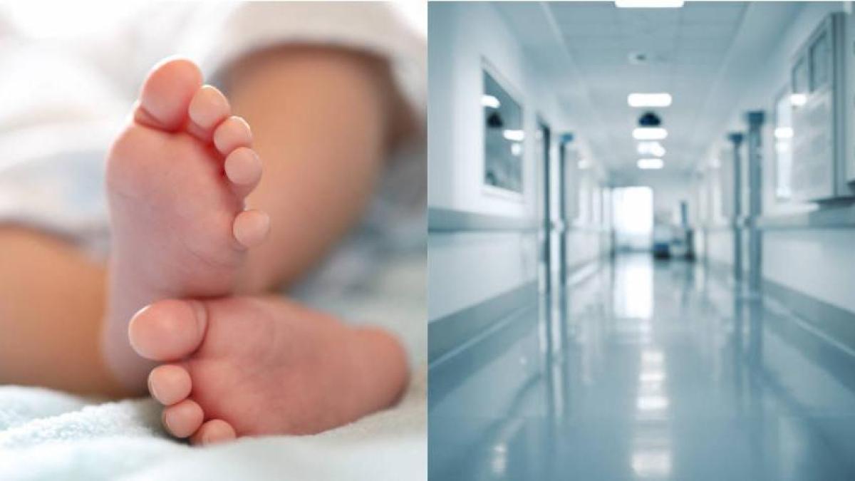 Brasil: nació bebé con una cola de 12 centímetros