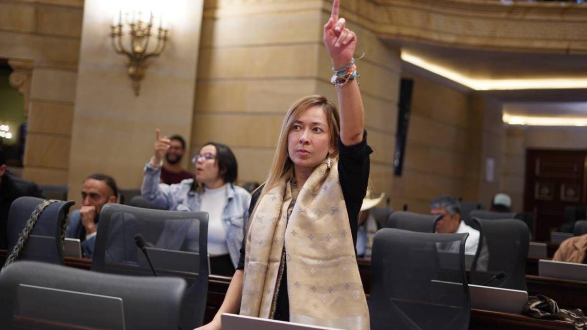 ‘Petro no es el dueño del progresismo en Colombia’: Katherine Miranda