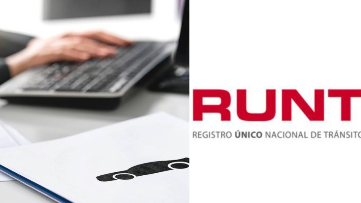 RUNT 2.0: así funcionará la nueva plataforma de Tránsito desde este 23 ...