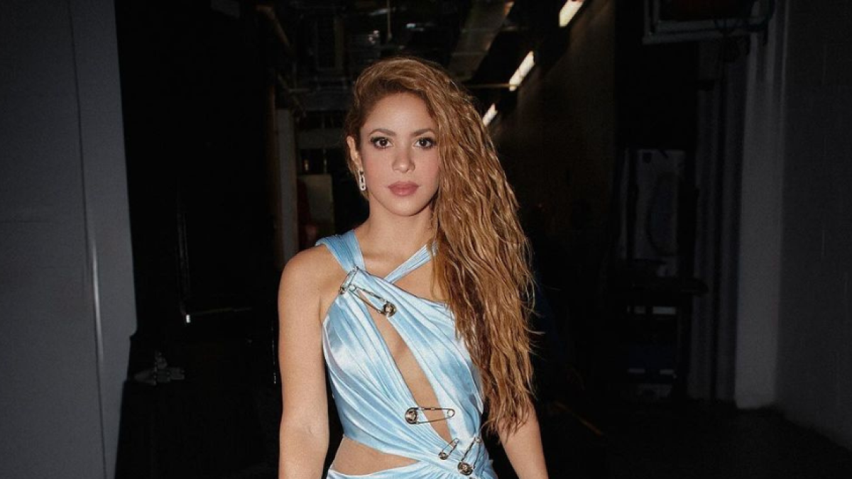 Shakira: esta es la millonada que cobra por un concierto privado