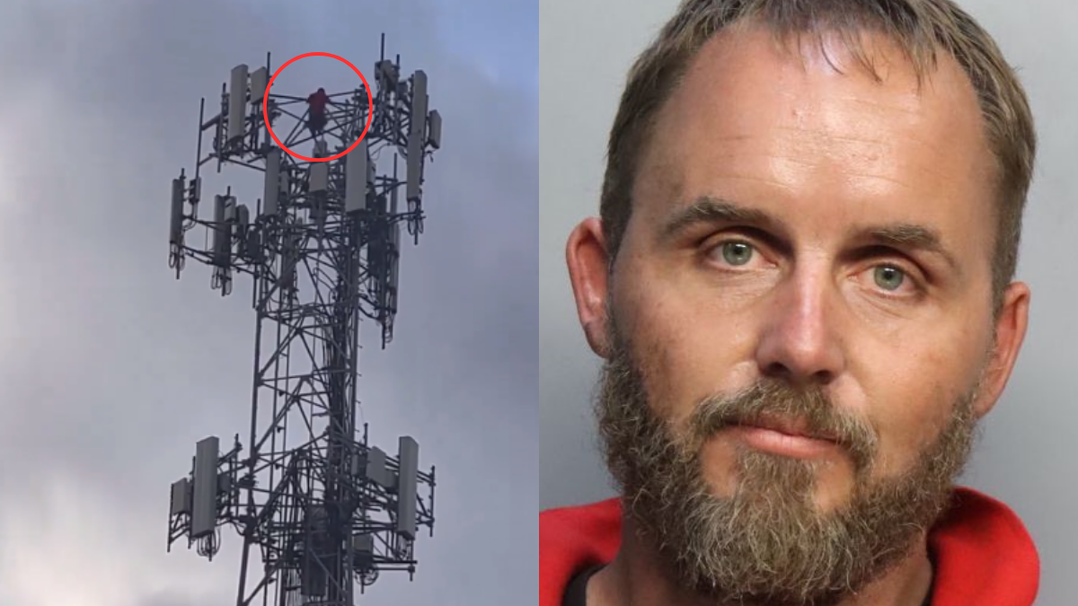Hombre escaló una antena de celular y la habría apagado en Miami