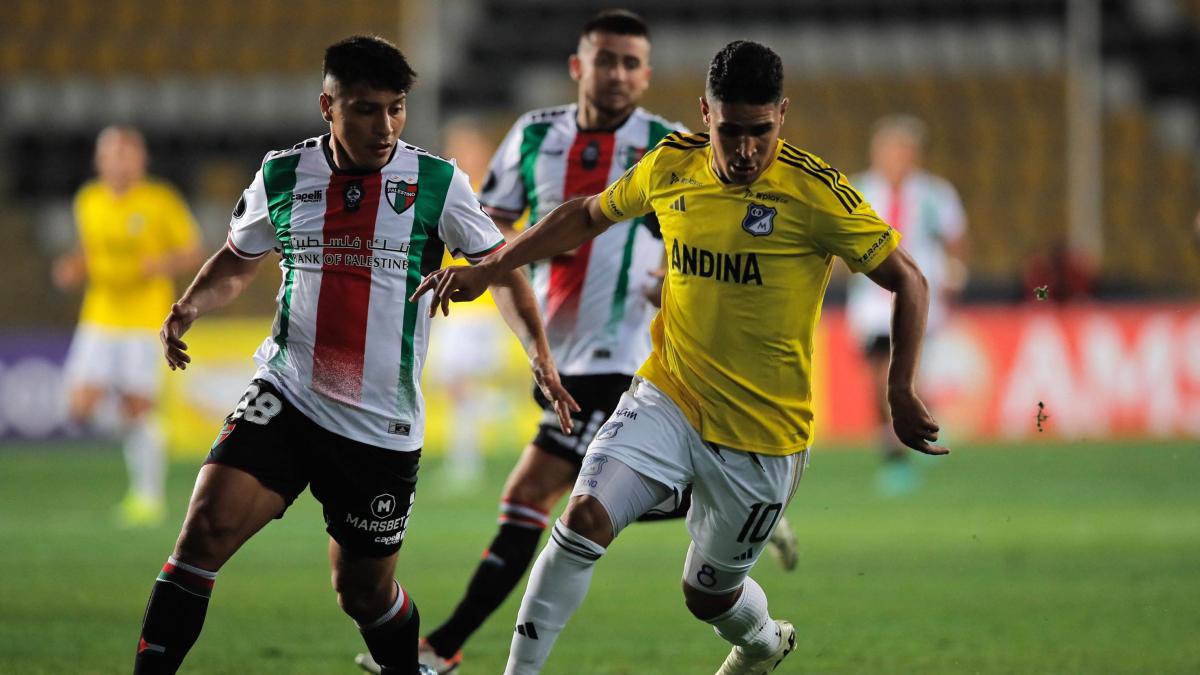 ¿Optimismo o falsas expectativas?... (Meluk le cuenta)