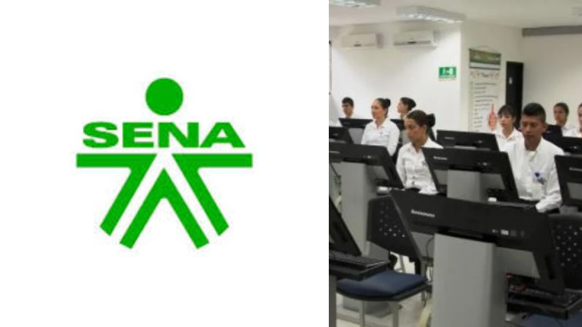 Caída de plataformas del Sena: director de la entidad explica lo que ...