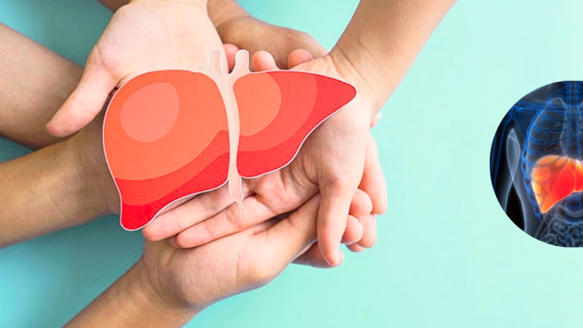 ¿Qué debería hacer para tener un hígado sano, según los expertos?