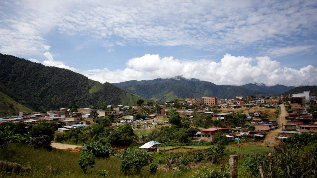 Estas son las cifras que deja la ‘Operación Perseo’ en El Plateado, a ...