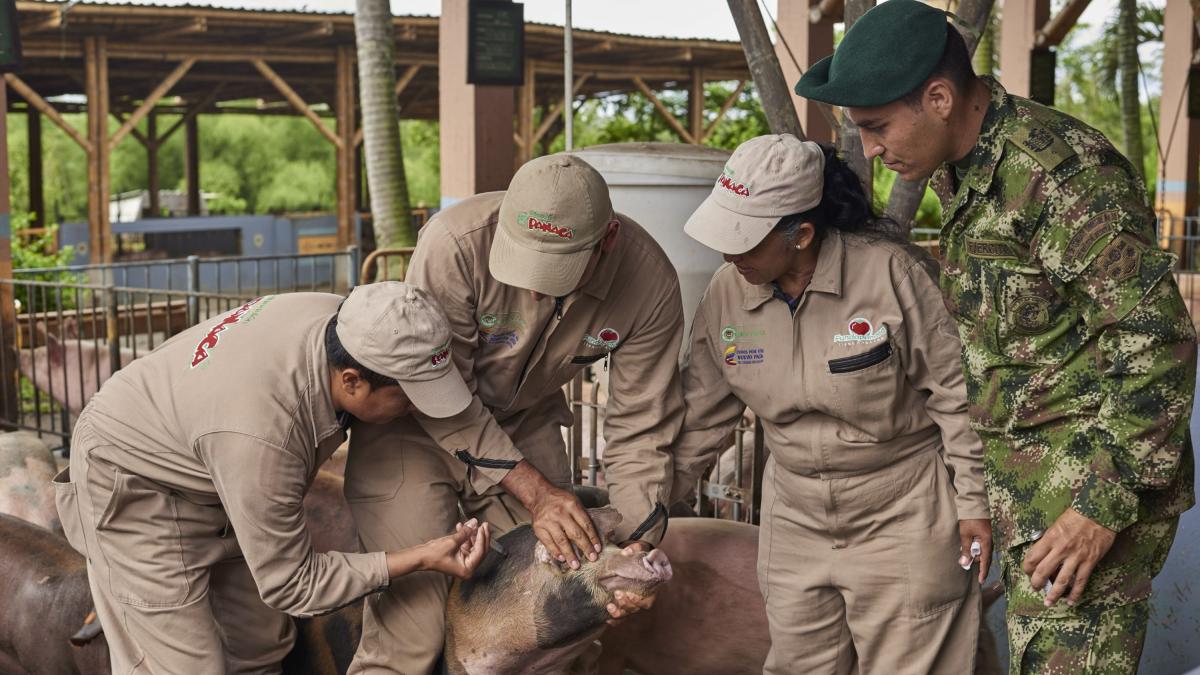 Panaca estrena convenio para la reincorporación