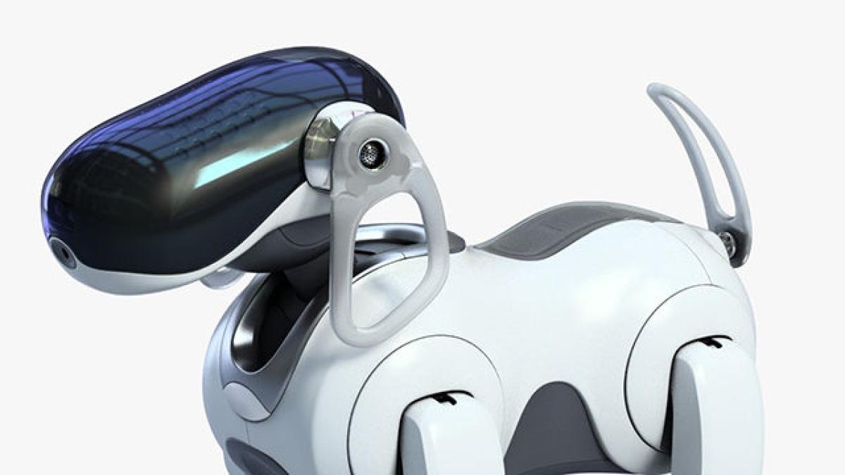 el nuevo perro robot de Sony una mascota robot