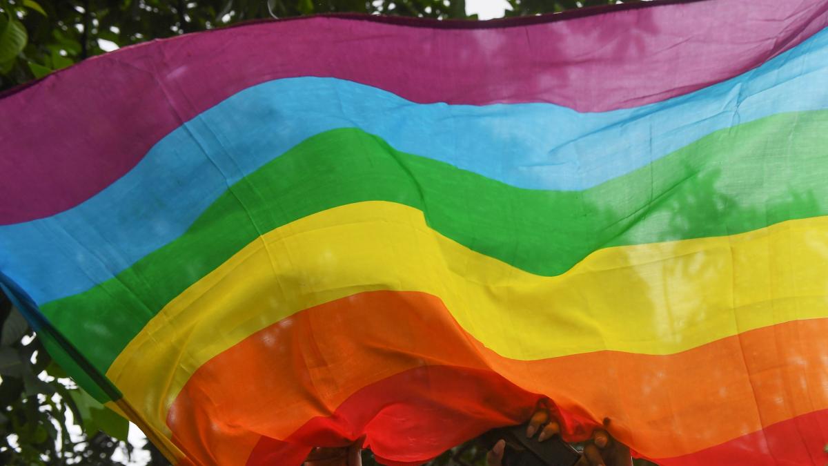 ¿Cómo surgió la bandera LGBT?