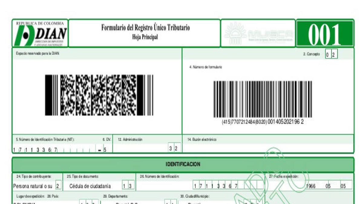 RUT: ¿pueden pedirlo actualizado o no? Esto responde la Dian