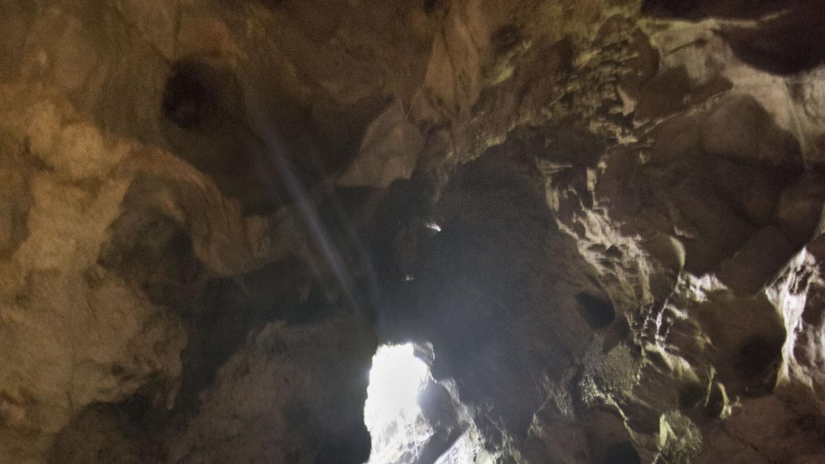 Los peces ciegos que habitan en las cavernas: Colombia Subterránea