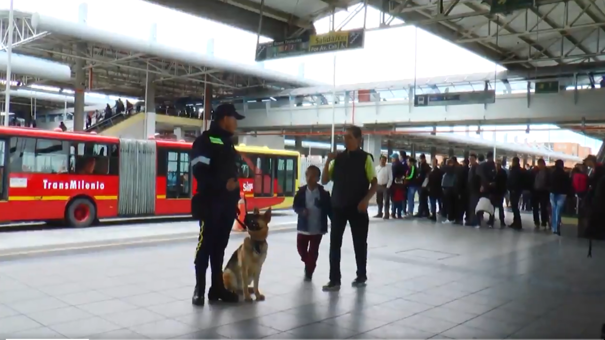 Perros en las estaciones de TransMilenio