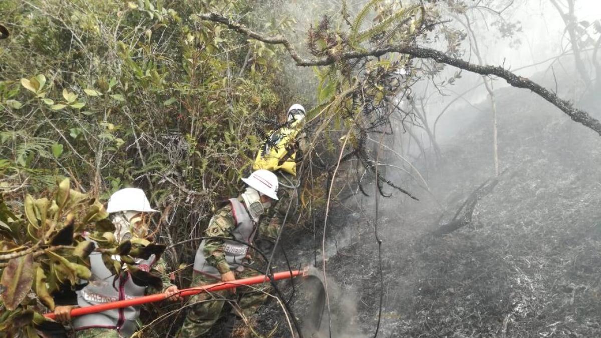 Cien mil hectáreas afectadas por incendios forestales en Colombia en 2019