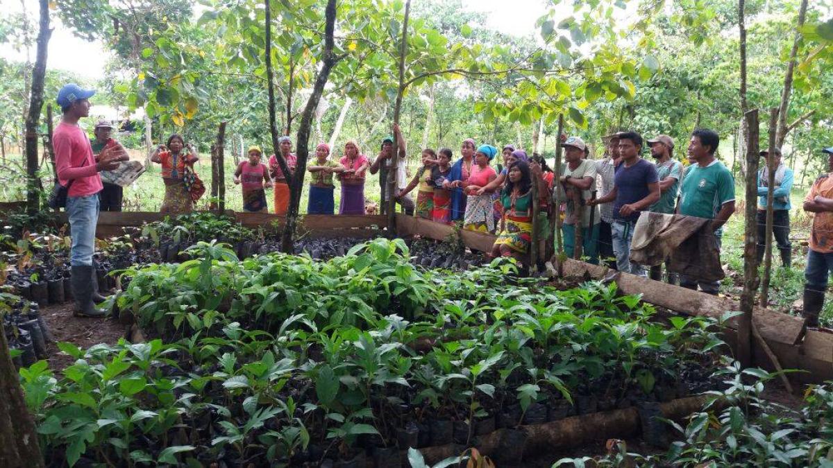 Conexión BioCaribe de la FAO en Antioquia y Chocó
