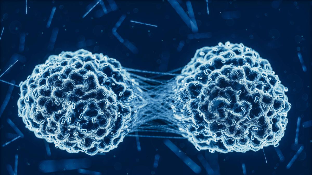 Estudio encuentra los mecanismos de la metástasis en cáncer