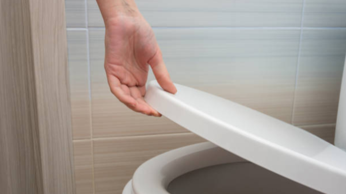 Cinco métodos efectivos para destapar el inodoro rápidamente sin químicos