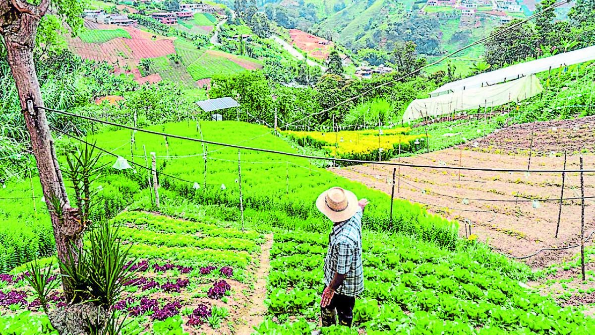 El Distrito Rural Campesino, una utopía posible en Medellín