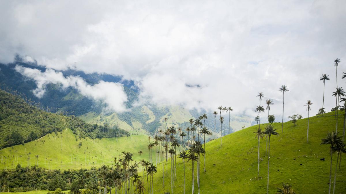 Disney: el lugar de Colombia que inspiró la nueva película Encanto