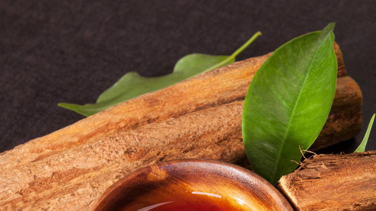 Yagé | Qué es y qué pasa cuando lo toma