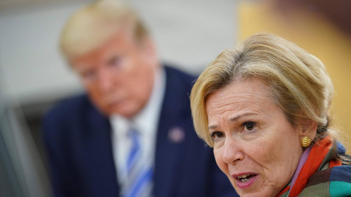 Estados Unidos: Deborah Birx escándalo por reunión familiar