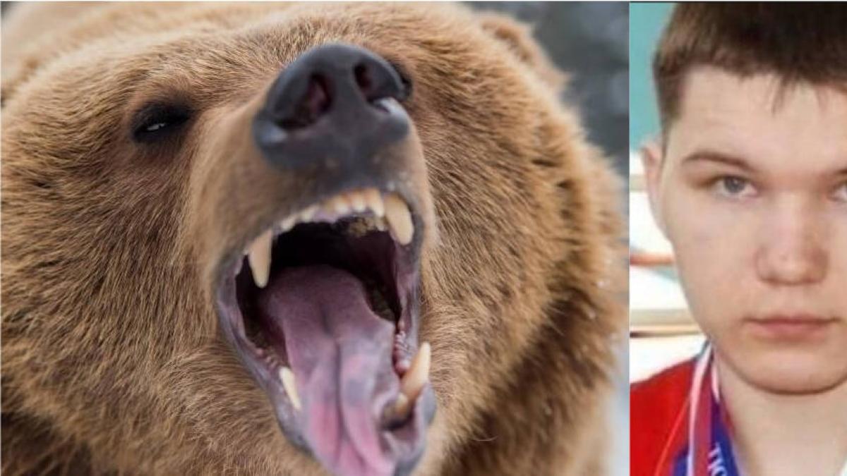 Boxeador ruso lucha por su vida tras matar a cuchillo a un oso