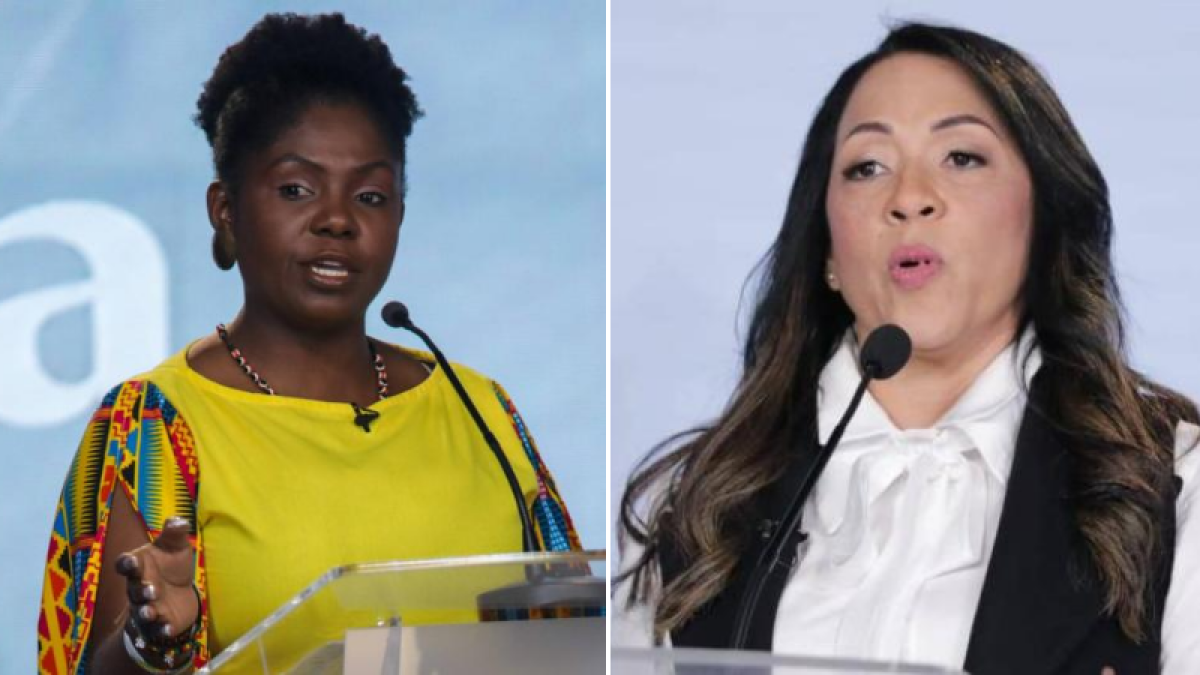 Reforma de la Salud: la crítica de Marelen Castillo a Francia Márquez