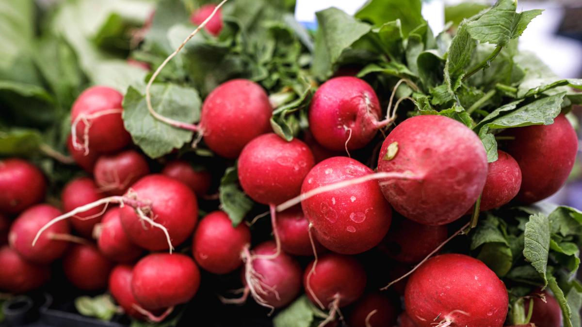 El valor nutricional del Rábano