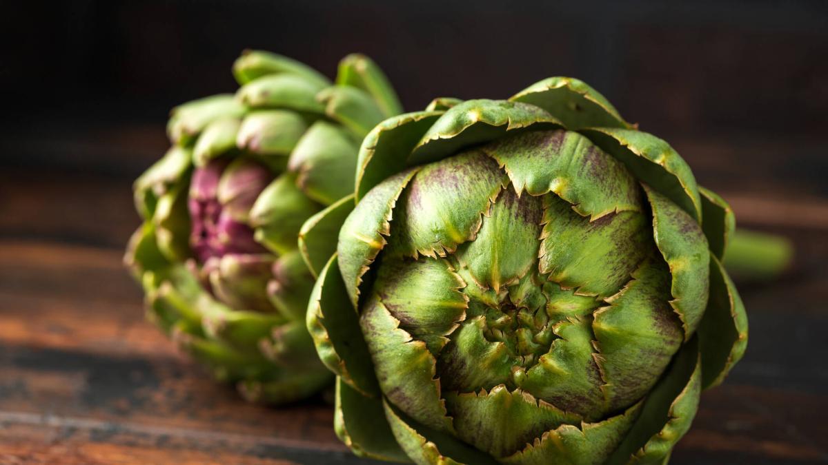 Hierbas amargas: ¿cuáles son y qué beneficios tienen al consumirlas?