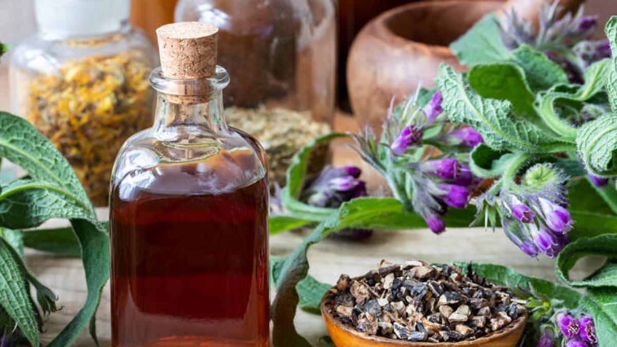 Solda con solda: usos y efectos adversos de esta planta medicinal